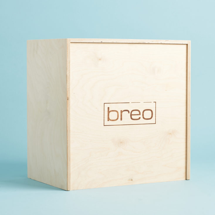 Breo Box Subscription Review + Coupon - Fall 2019 | MSA