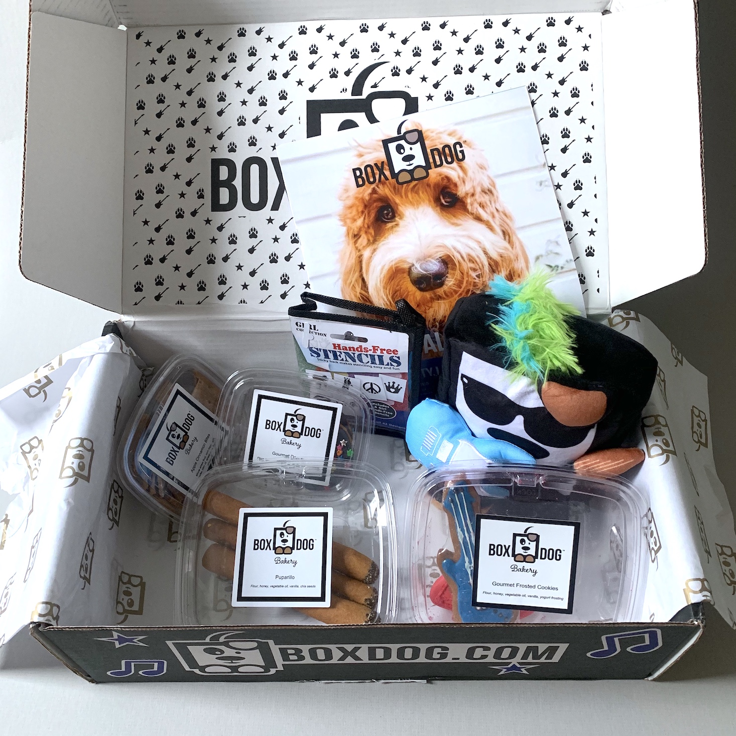 BoxDog Pet Subscription Box Review + Coupon - Fall 2019 | MSA