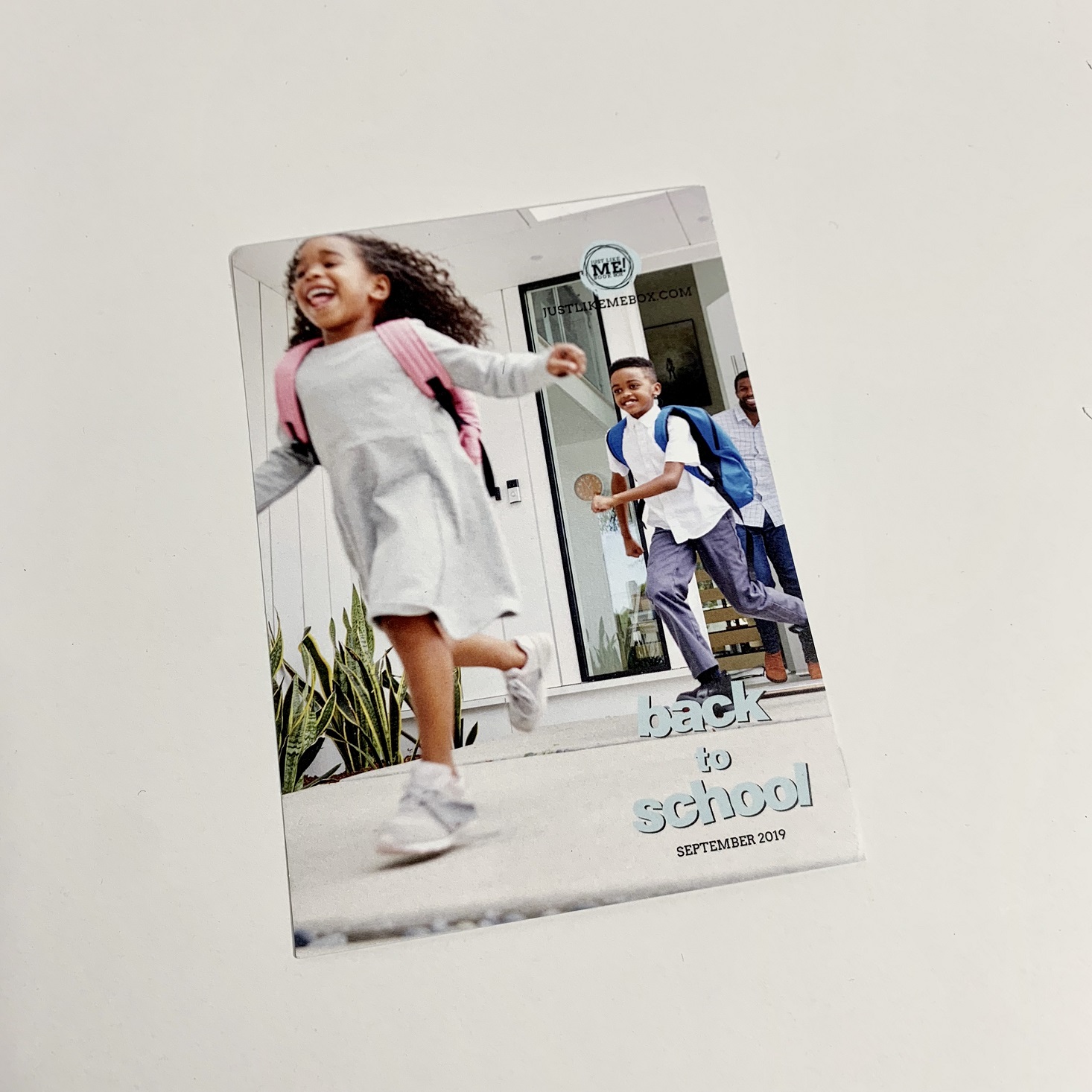 Just Like Me! Book Box Review - September 2019 | MSA