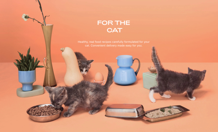 Smalls Cat Food Subscription - Should We Review It? | MSA