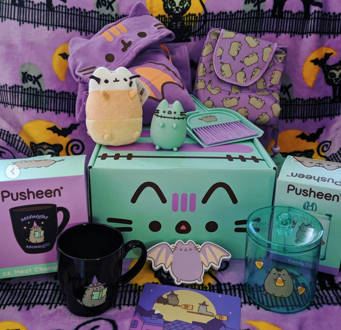 Pusheen Box Fall 2019 FULL Spoilers! | MSA