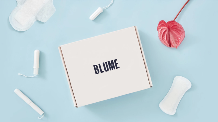 14 Best Period Subscriptions +Period Underwear Brands | MSA