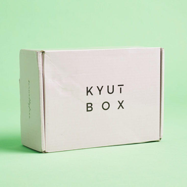 Kyut Box Reviews: Everything You Need To Know