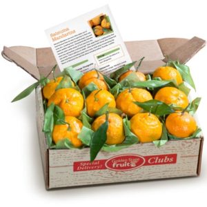22 Best Fruit of the Month Clubs and Subscriptions | MSA