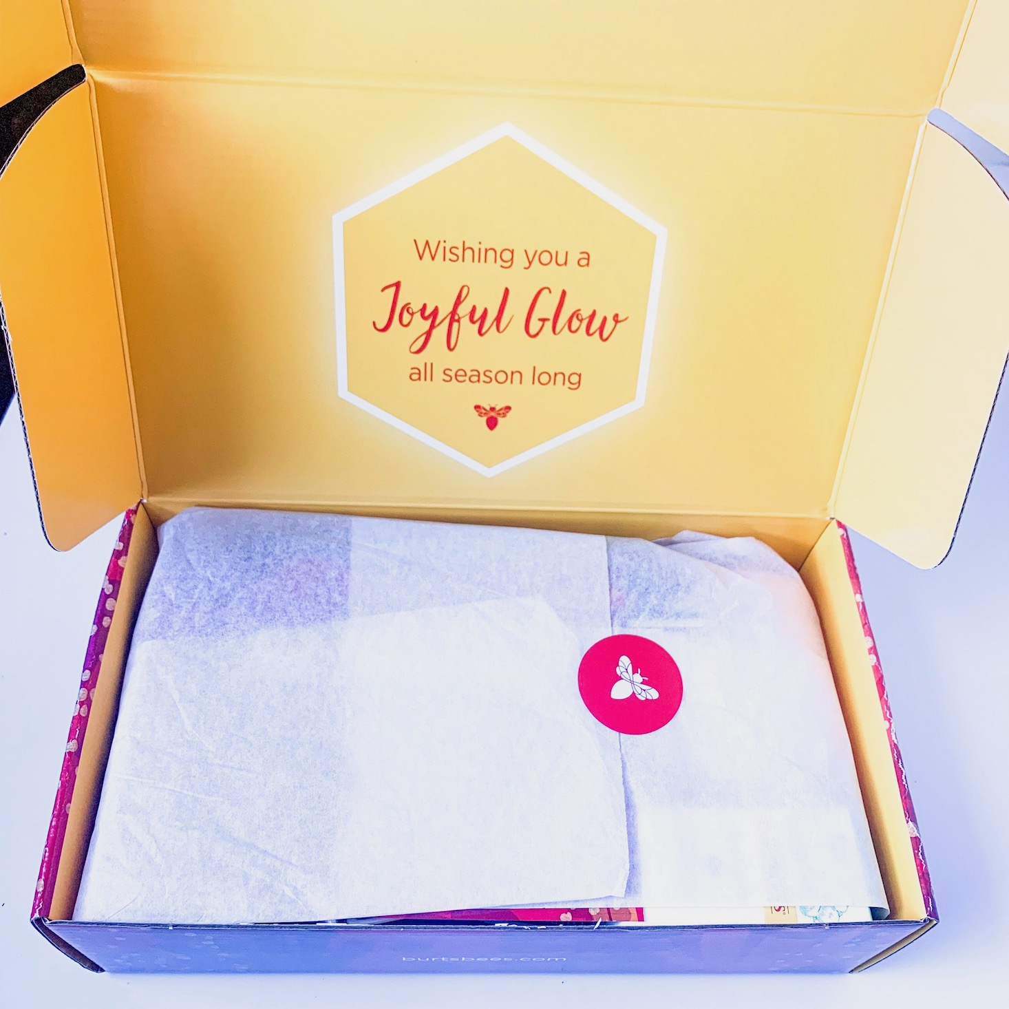 Burt’s Bees Limited Edition Burt's Box Review - Holiday 2019 | MSA