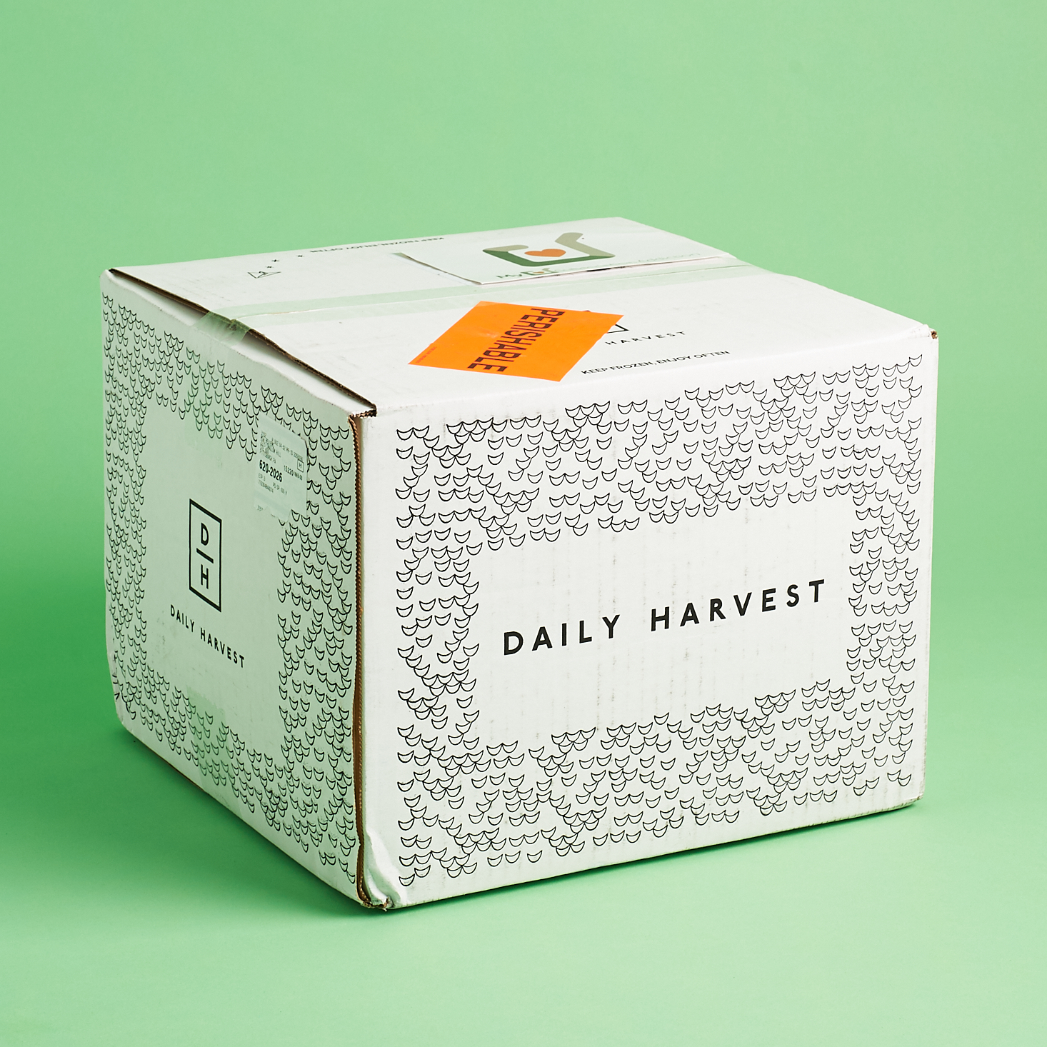 Daily Harvest Review - I Ate it for 4 Weeks Straight | MSA