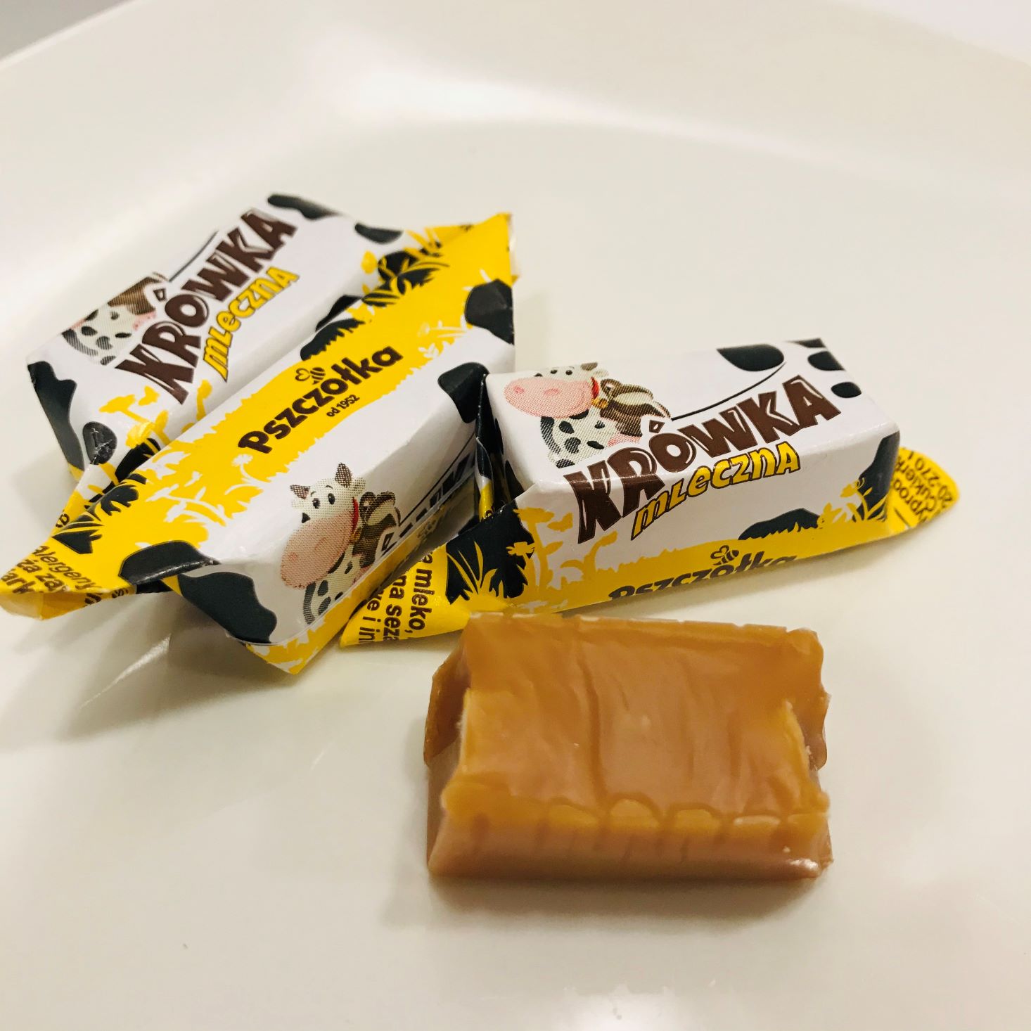 Universal Yums "Poland” Review - January 2020 | MSA