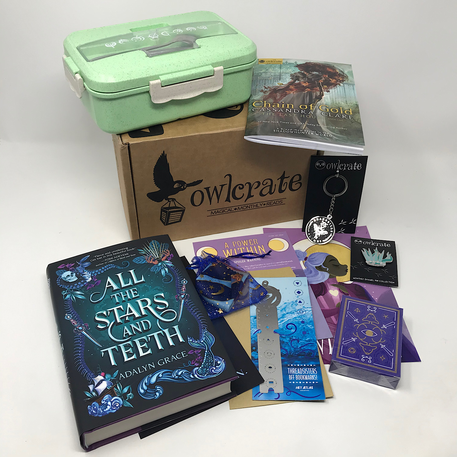 OwlCrate YA Book Box Review + Coupon – February 2020 | MSA