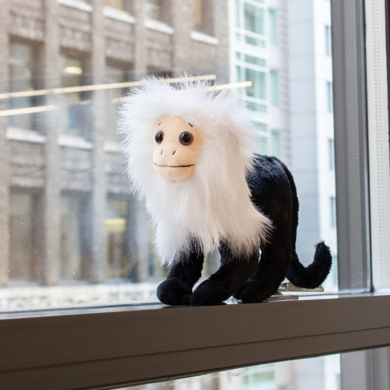 Friends Subscription Box Spring 2020 FULL Spoilers! | MSA