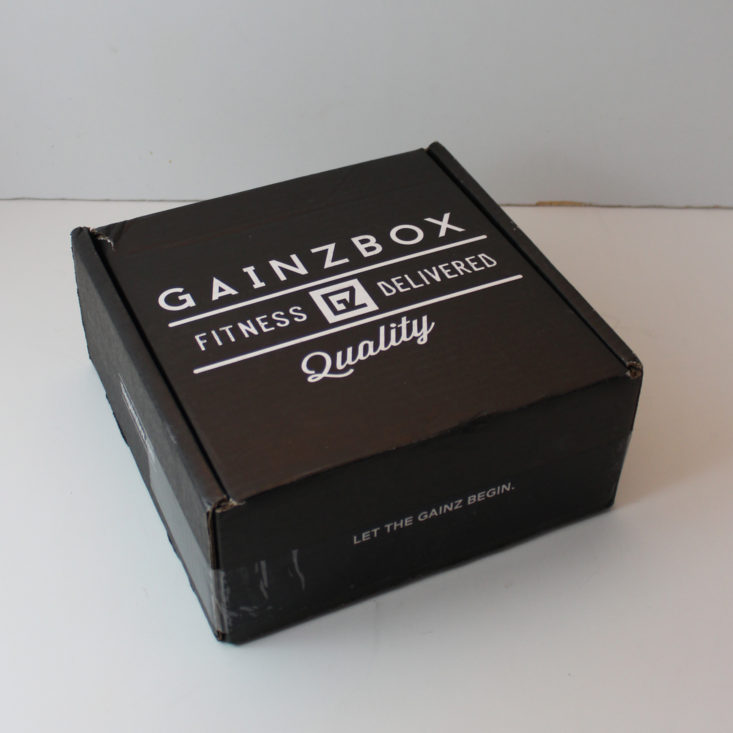 Gainz Box Fitness Subscription Review - February 2020 | MSA