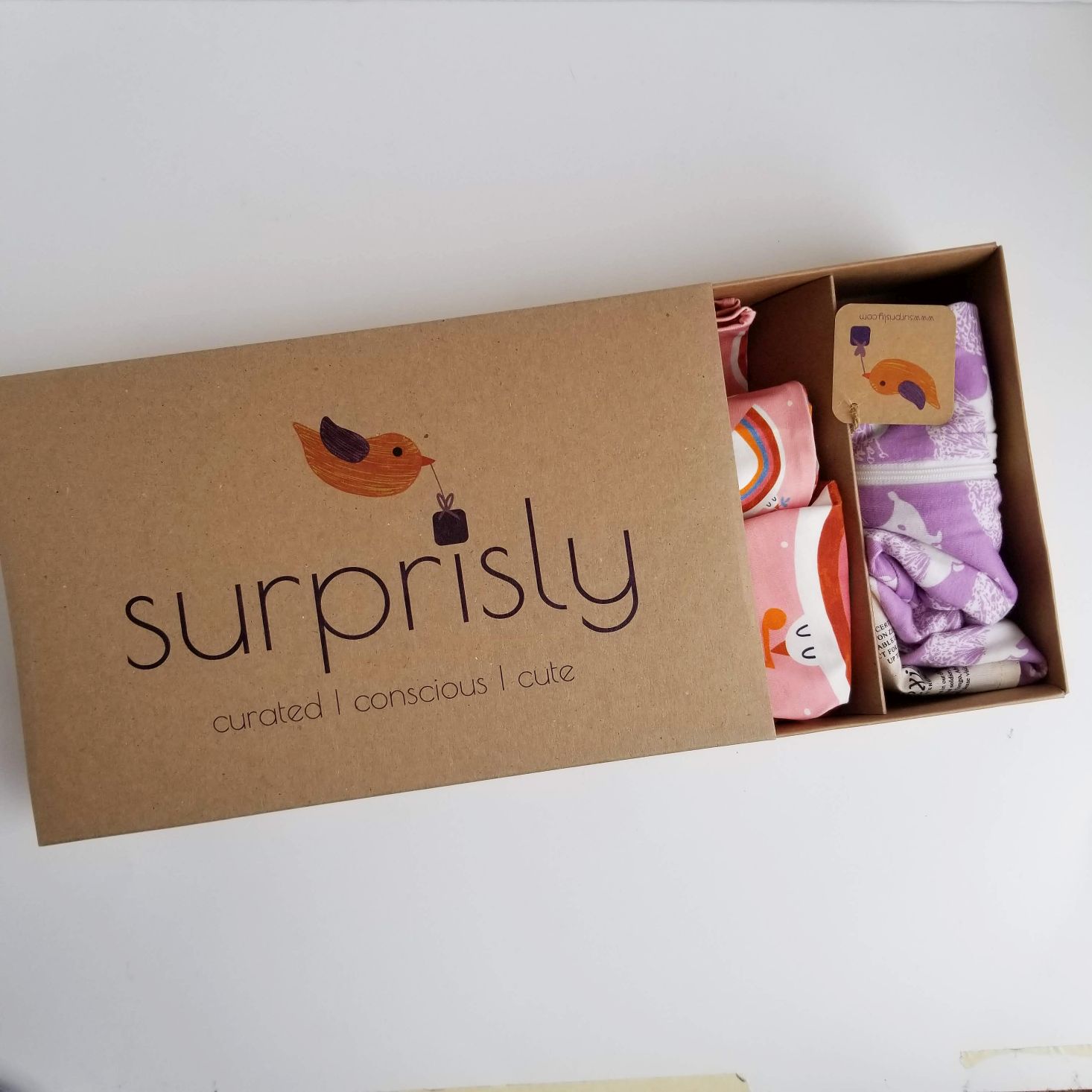 Surprisly Baby Clothing Box Review - February 2020 | MSA