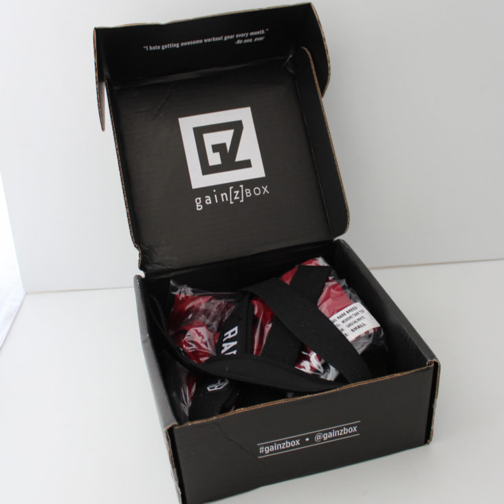 Gainz Box Fitness Subscription Review - March 2020 | MSA