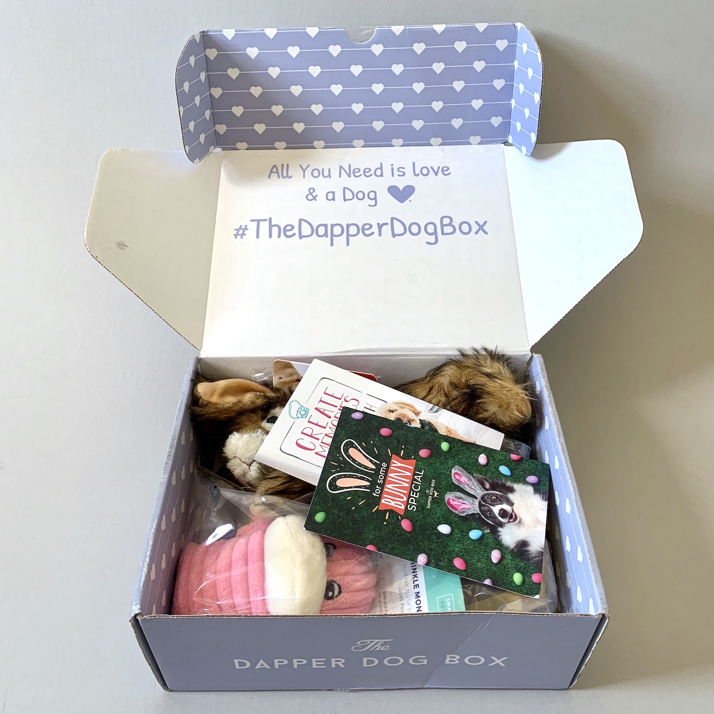 The Dapper Dog Box Review + Coupon - April 2020 | MSA
