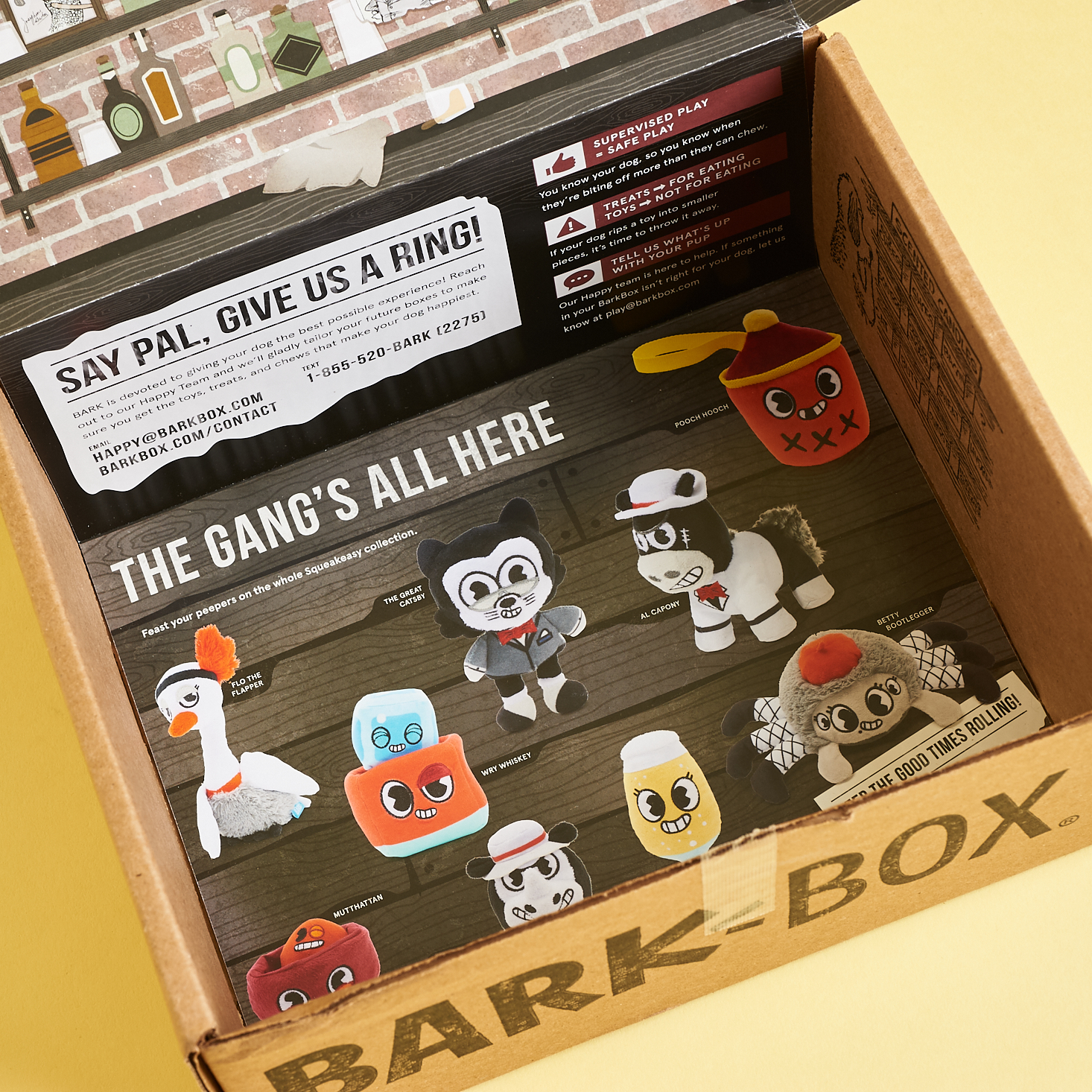 BarkBox Review + Coupon – April 2020 | MSA