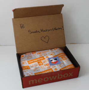 meowbox Cat Subscription Review + Coupon – April 2020 | MSA