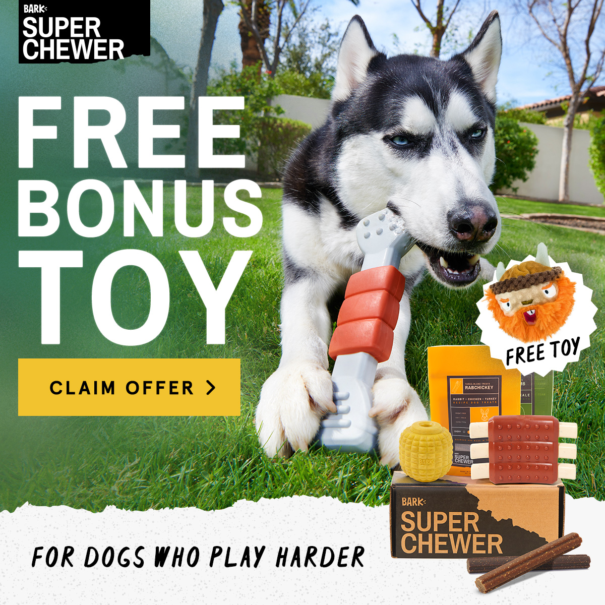 Super Chewer Coupon - Free Bonus Toy With Your First Box! | MSA