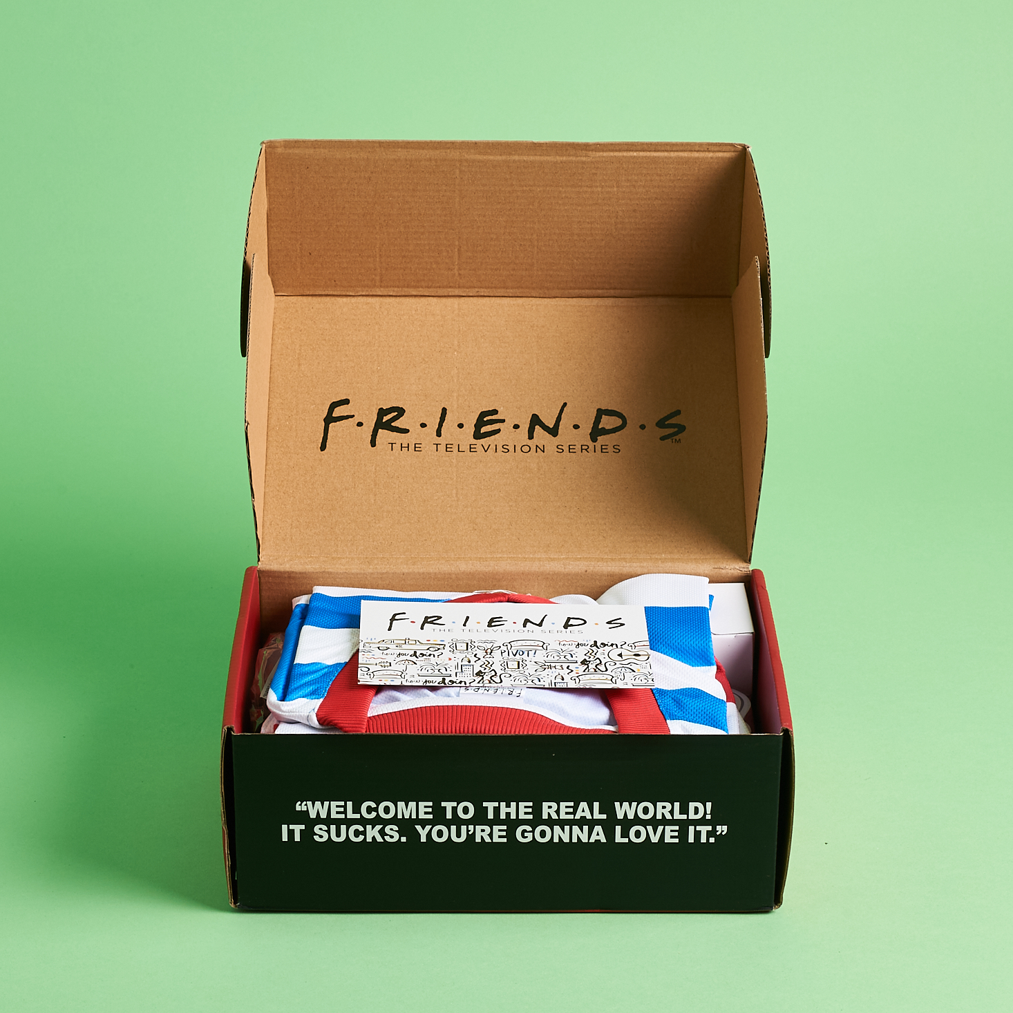 Friends Box Review - Spring 2020 | MSA