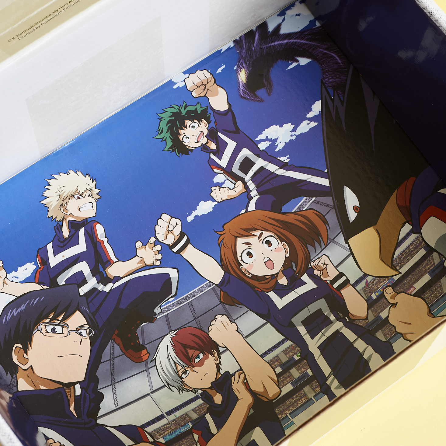 CultureFly My Hero Academia Box Review - Spring 2020 | MSA