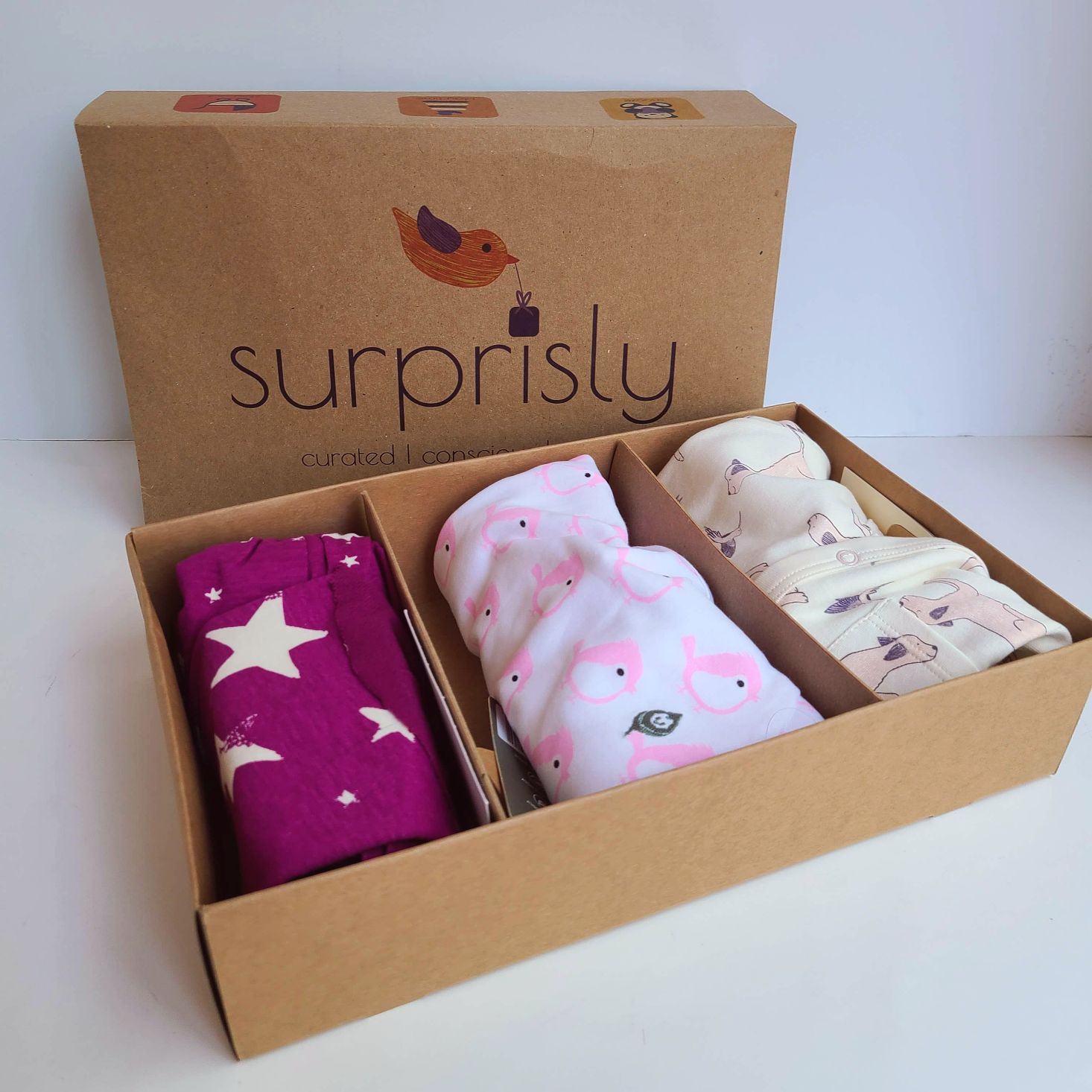 Surprisly Baby Clothing Box Review - June 2020 | MSA