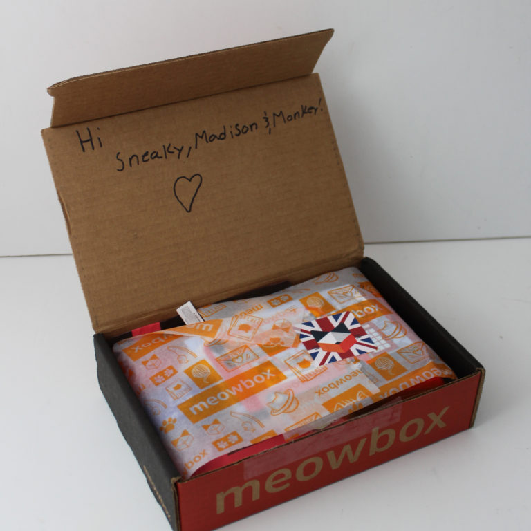 meowbox Cat Subscription Review + Coupon – July 2020 | MSA