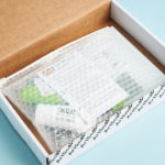 ArtSnacks Plus Subscription Box Review - August 2020 | MSA