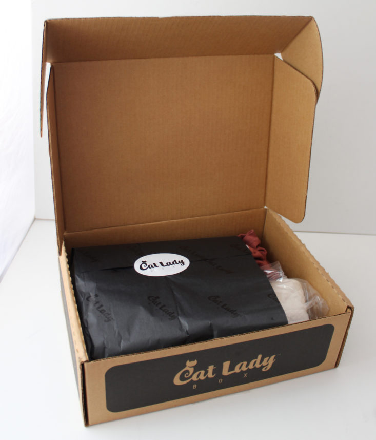 CatLadyBox Subscription Box Review - September 2020 | MSA