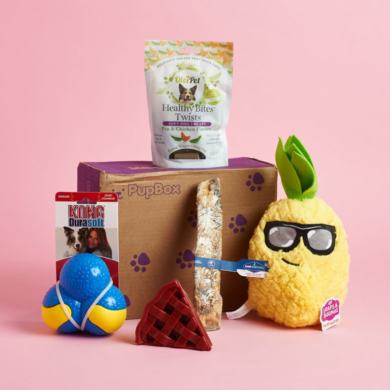 The 24 Best Pet Subscription Boxes in 2024 | MSA