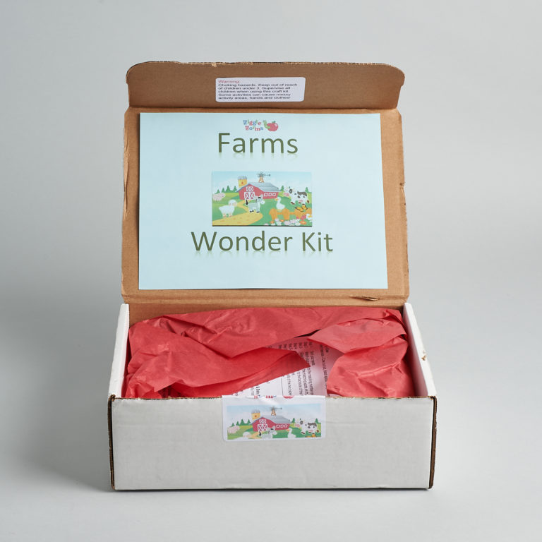 Wonder Kits Subscription Box Review - August 2020 | MSA