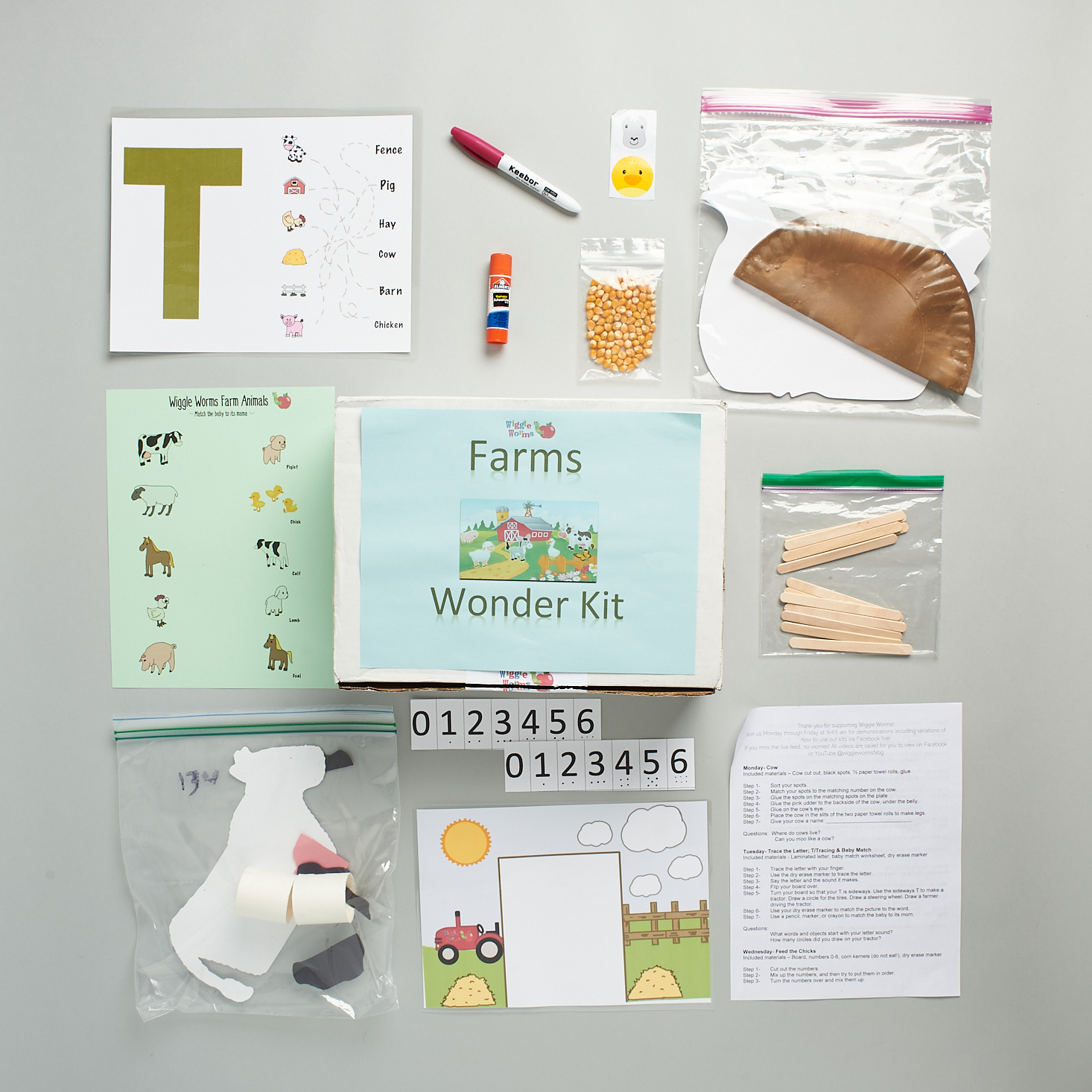 Wonder Kits Subscription Box Review - August 2020 | MSA