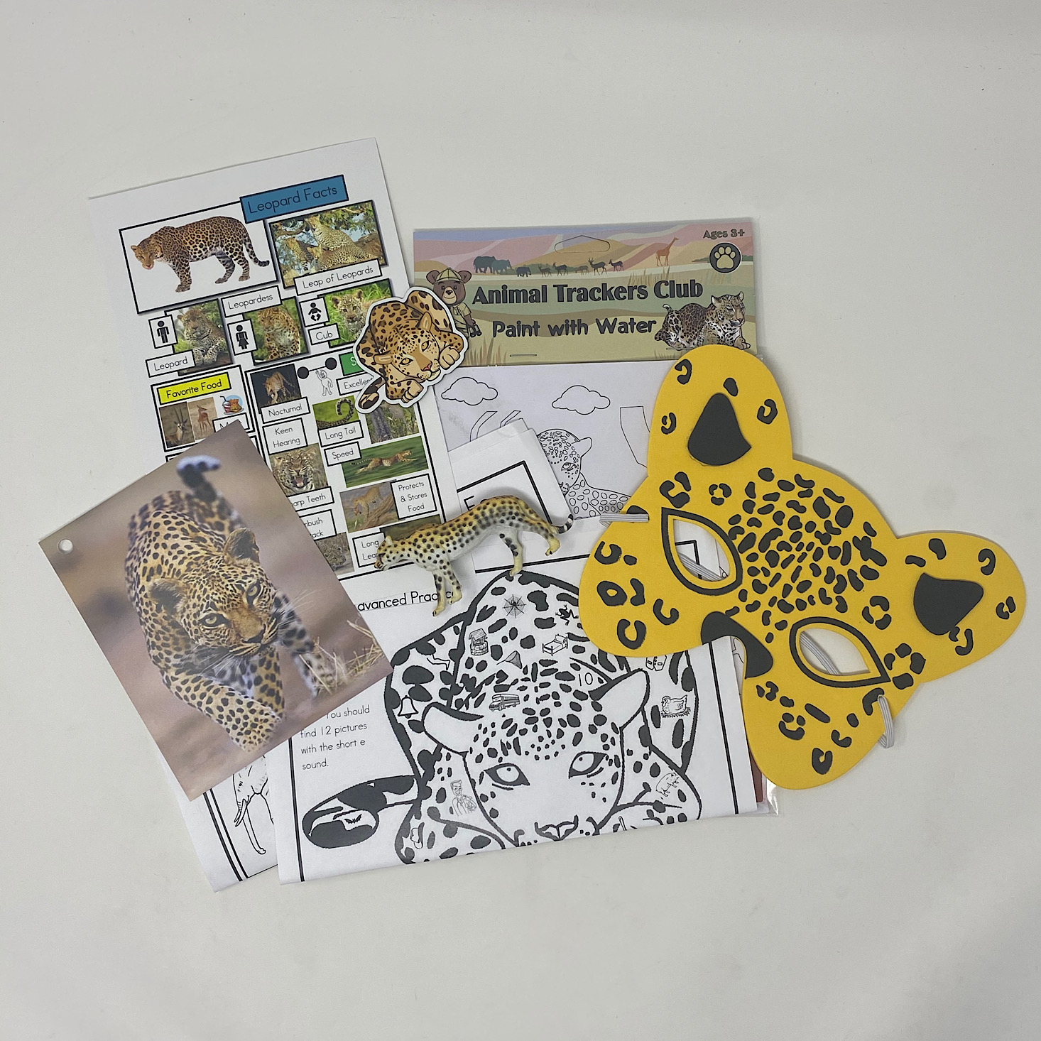 Animal Trackers Club Review - October 2020 | MSA