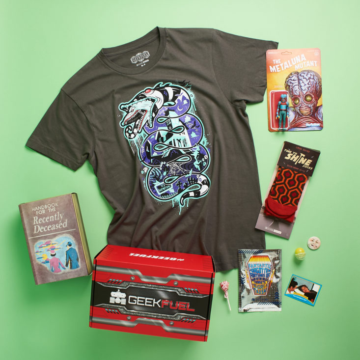 Geek Fuel Subscription Box Review – October 2020 | MSA