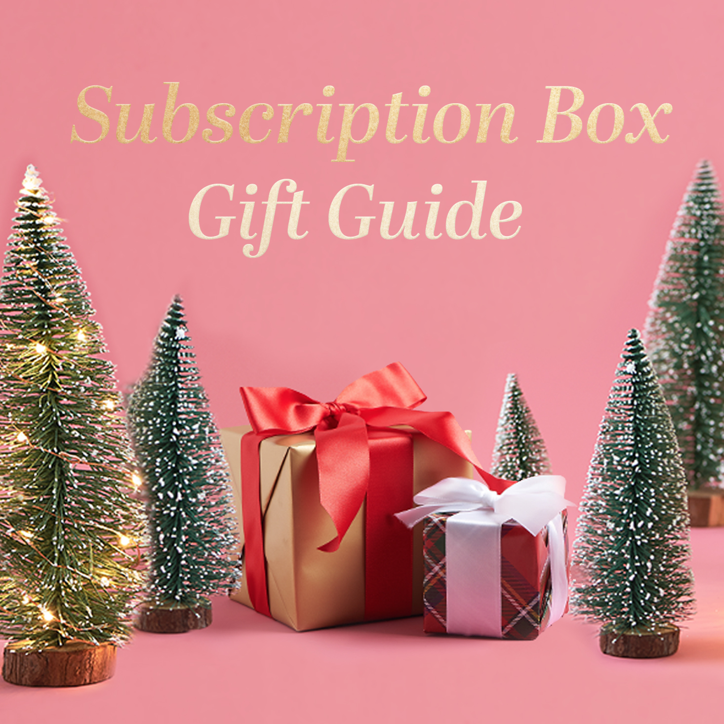 Shop Our Subscription Box Gift Ideas, For Monthly Cheer All Year | My ...