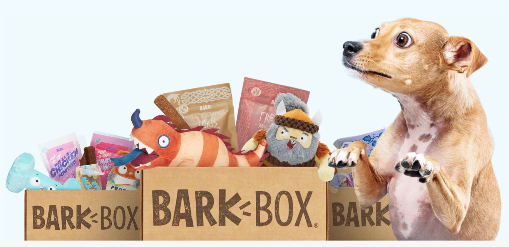 BarkBox Deal - 50% Off Your First Box! | MSA