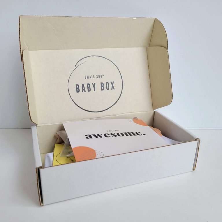 Small Shop Baby Box Fall 2020 Box Review - 9-12 Month Girl | MSA