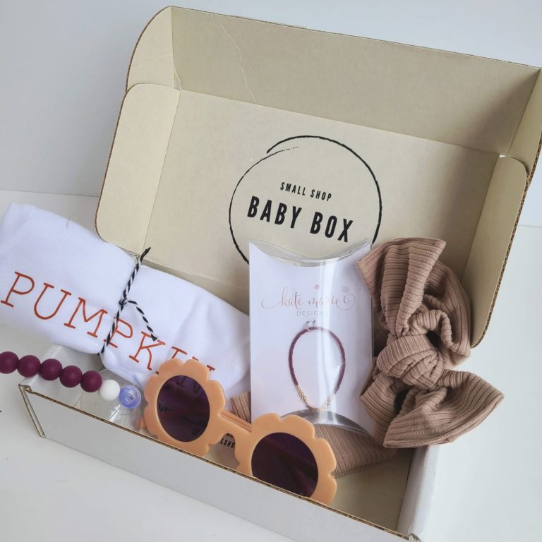 Small Shop Baby Box Fall 2020 Box Review - 9-12 Month Girl | MSA
