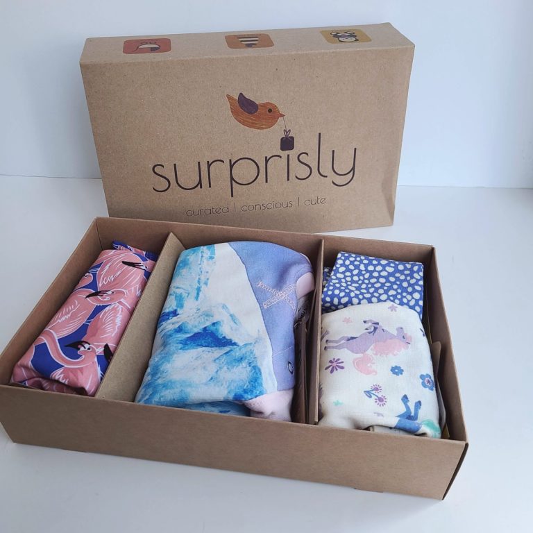 Surprisly Baby Clothing Subscription Box Review - September 2020 | MSA