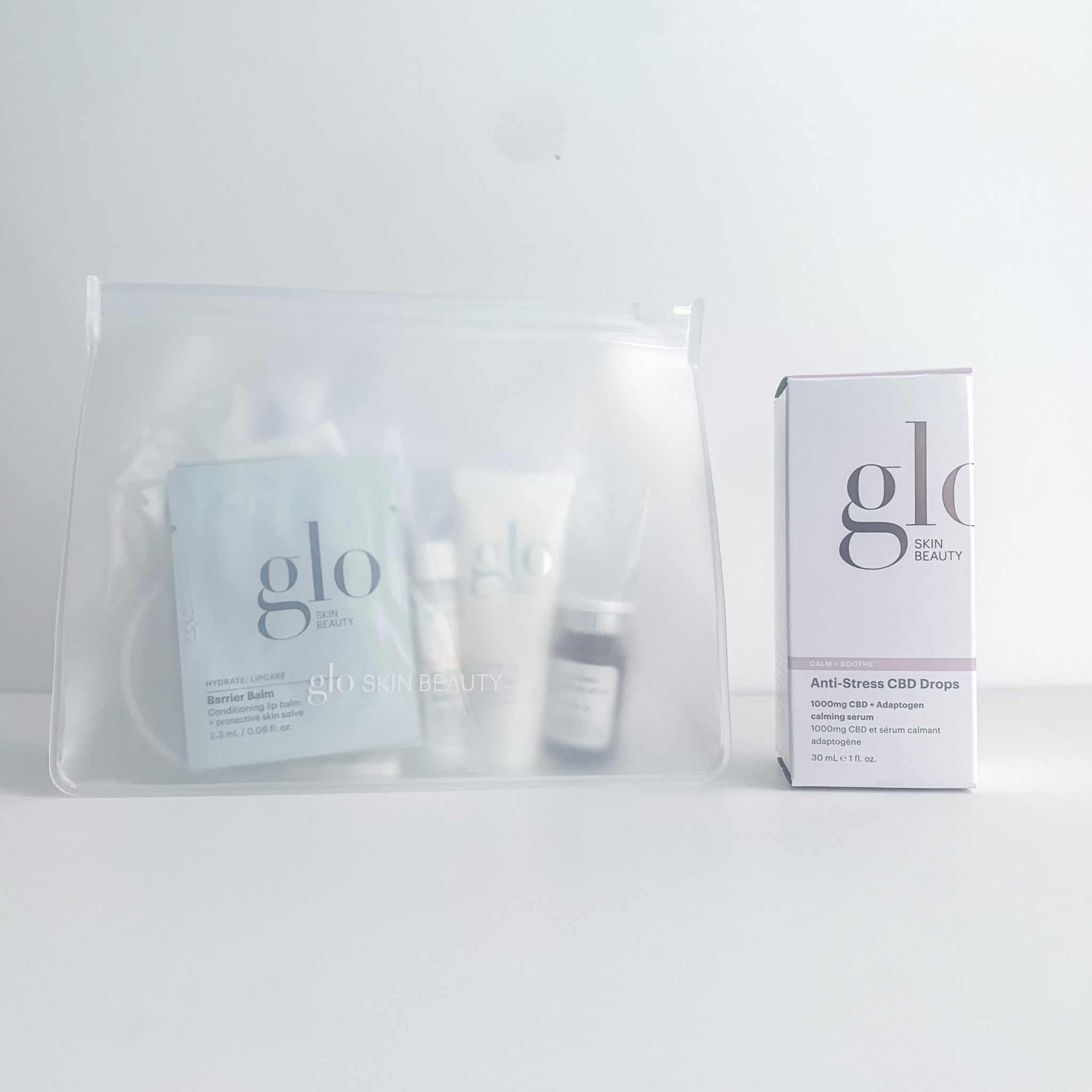 TrendMood x GloSkin Beauty Box Review | MSA