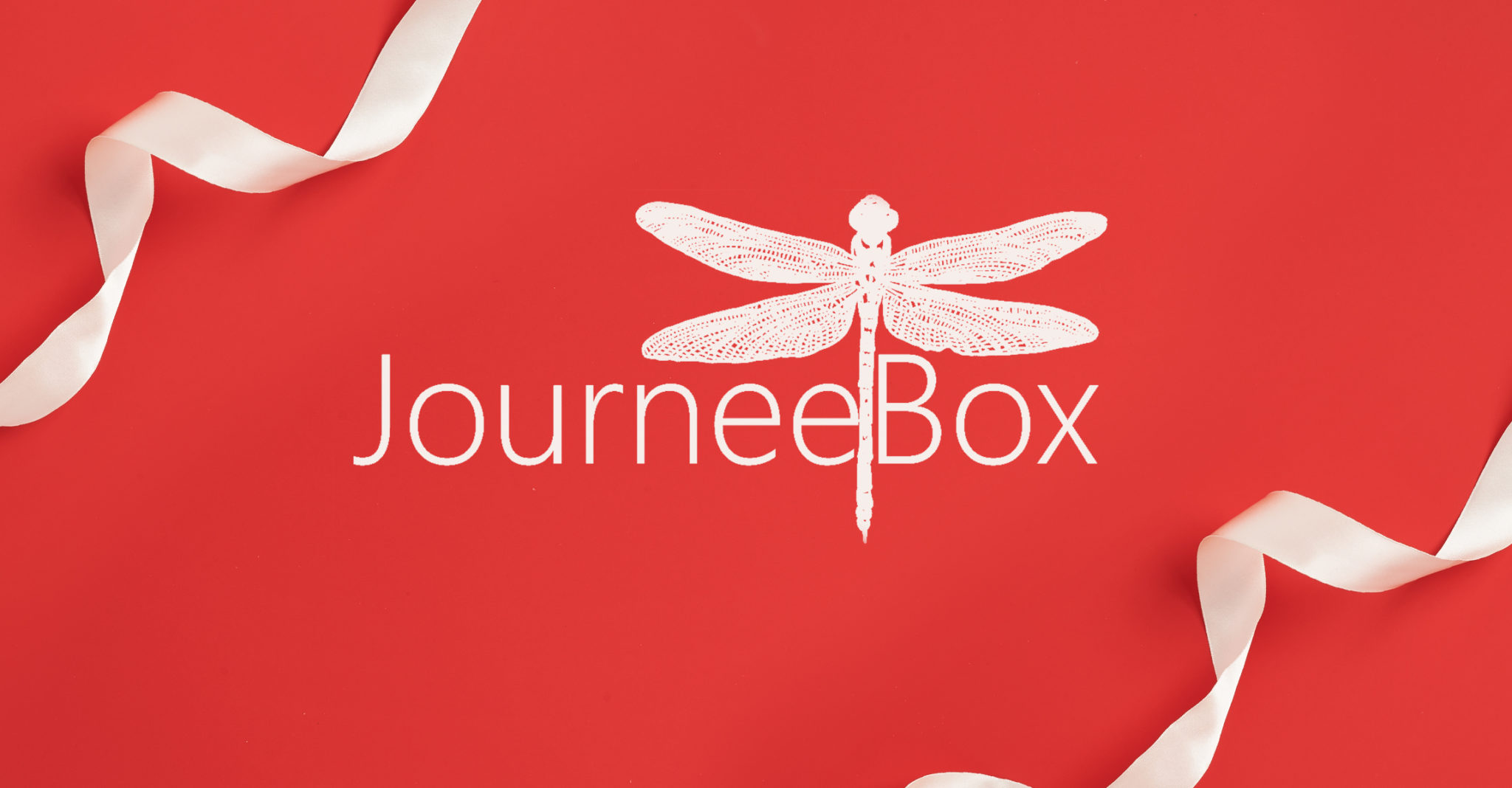 JourneeBox - Better Than Black Friday 2020 Deal! | MSA
