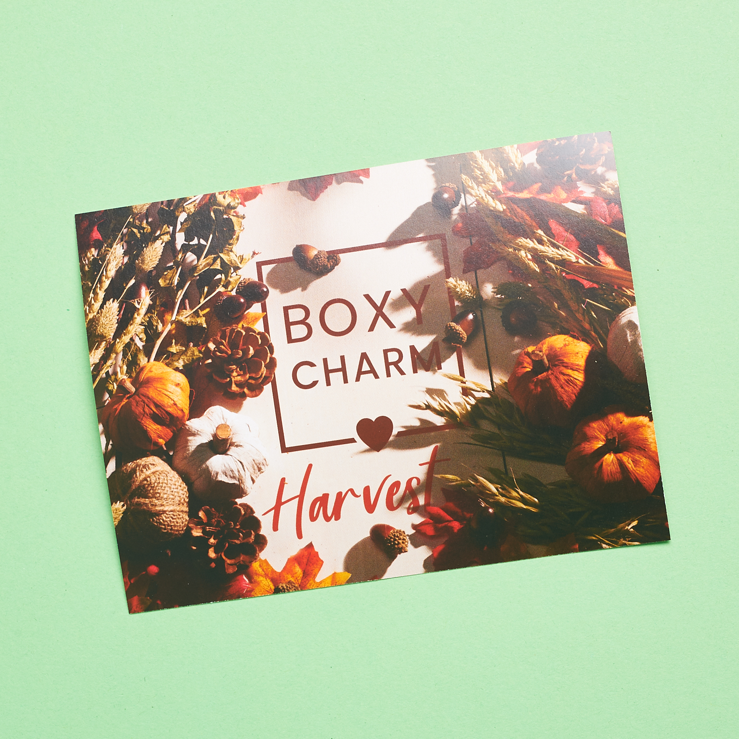 BoxyCharm Subscription Box Review - November 2020 | MSA