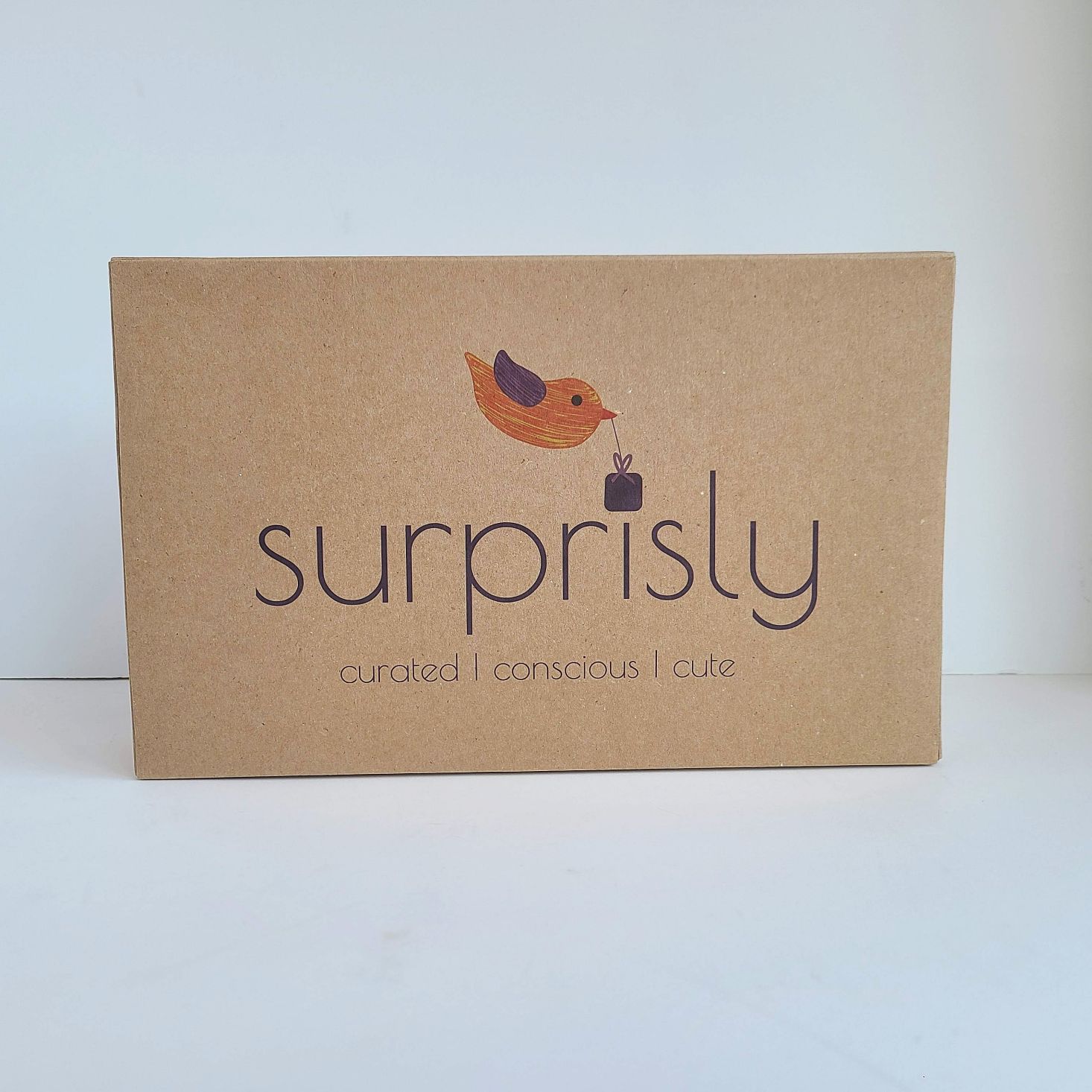 Surprisly Baby Clothing Subscription Box Review - November 2020 | MSA