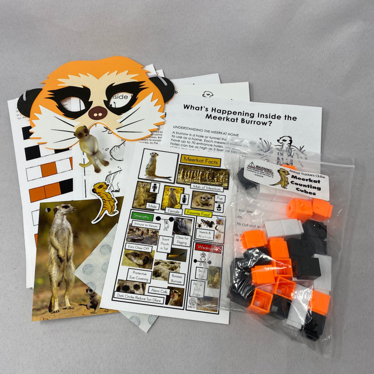 Animal Trackers Club Review - December 2020 | MSA