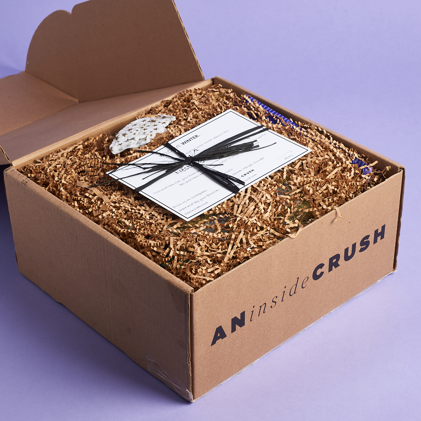 An Inside Crush Review + Coupon - Winter 2020 | MSA