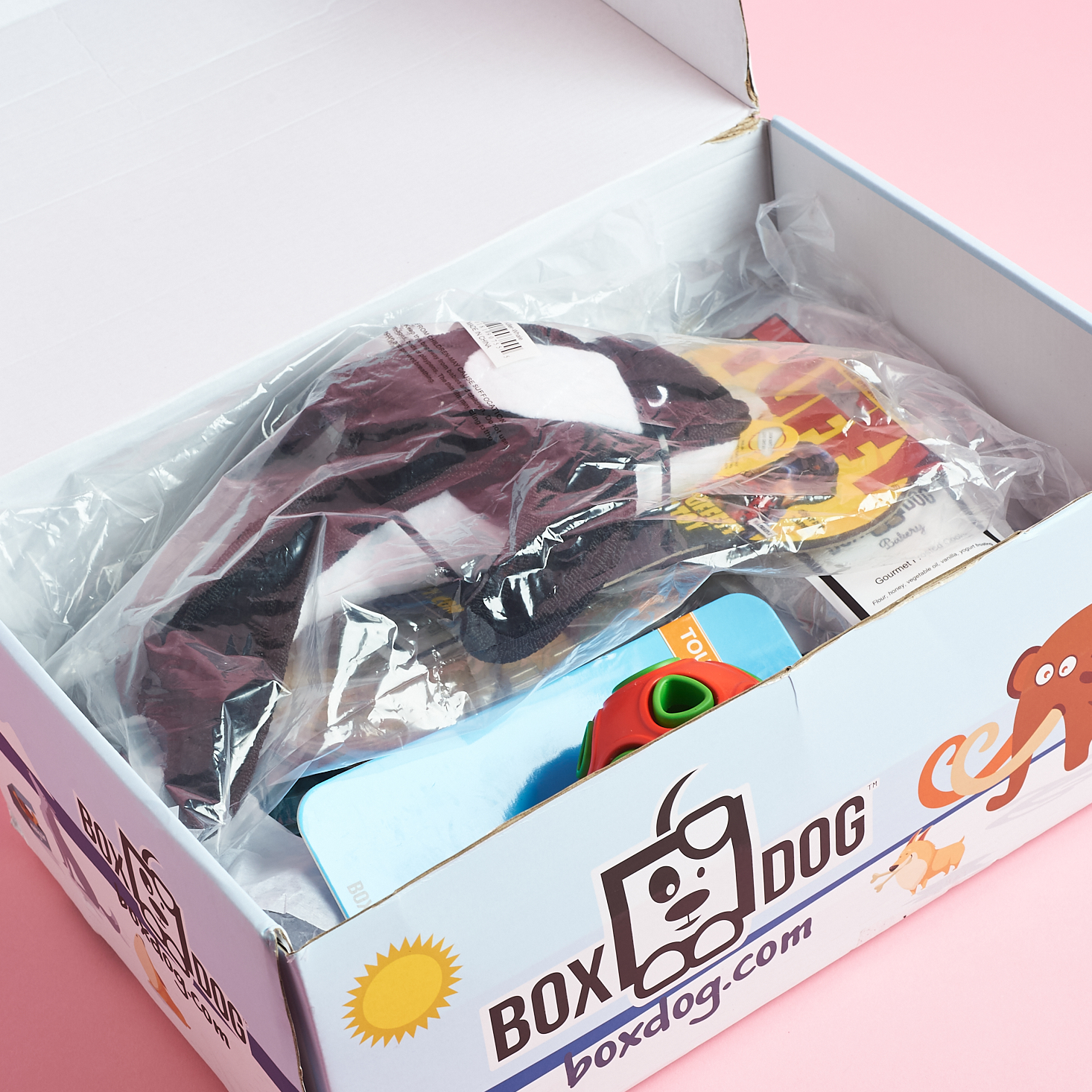 BoxDog Subscription Review + Coupon - Winter 2020 | MSA