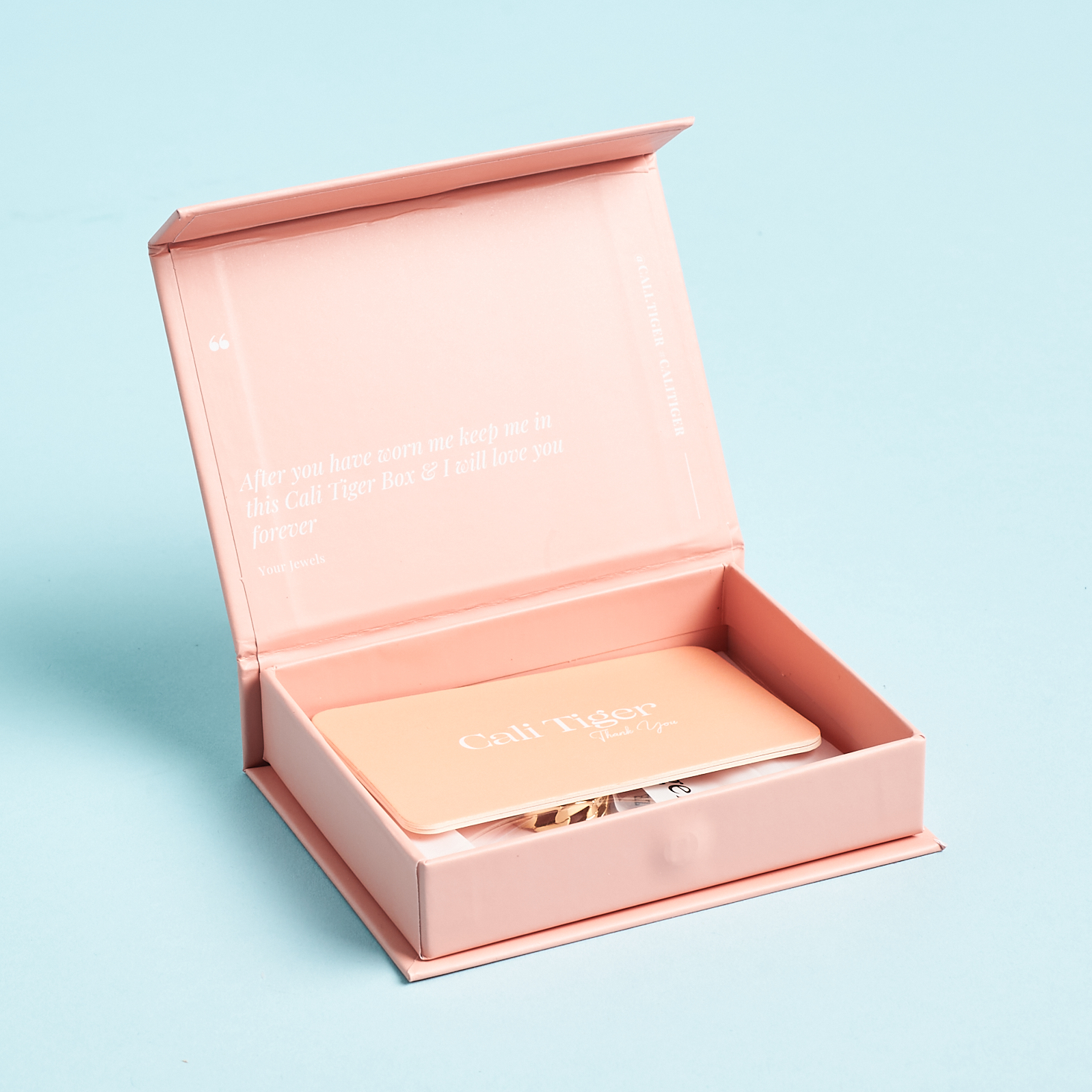 Cali Tiger Jewelry Box Review + Coupon - December 2020 | MSA