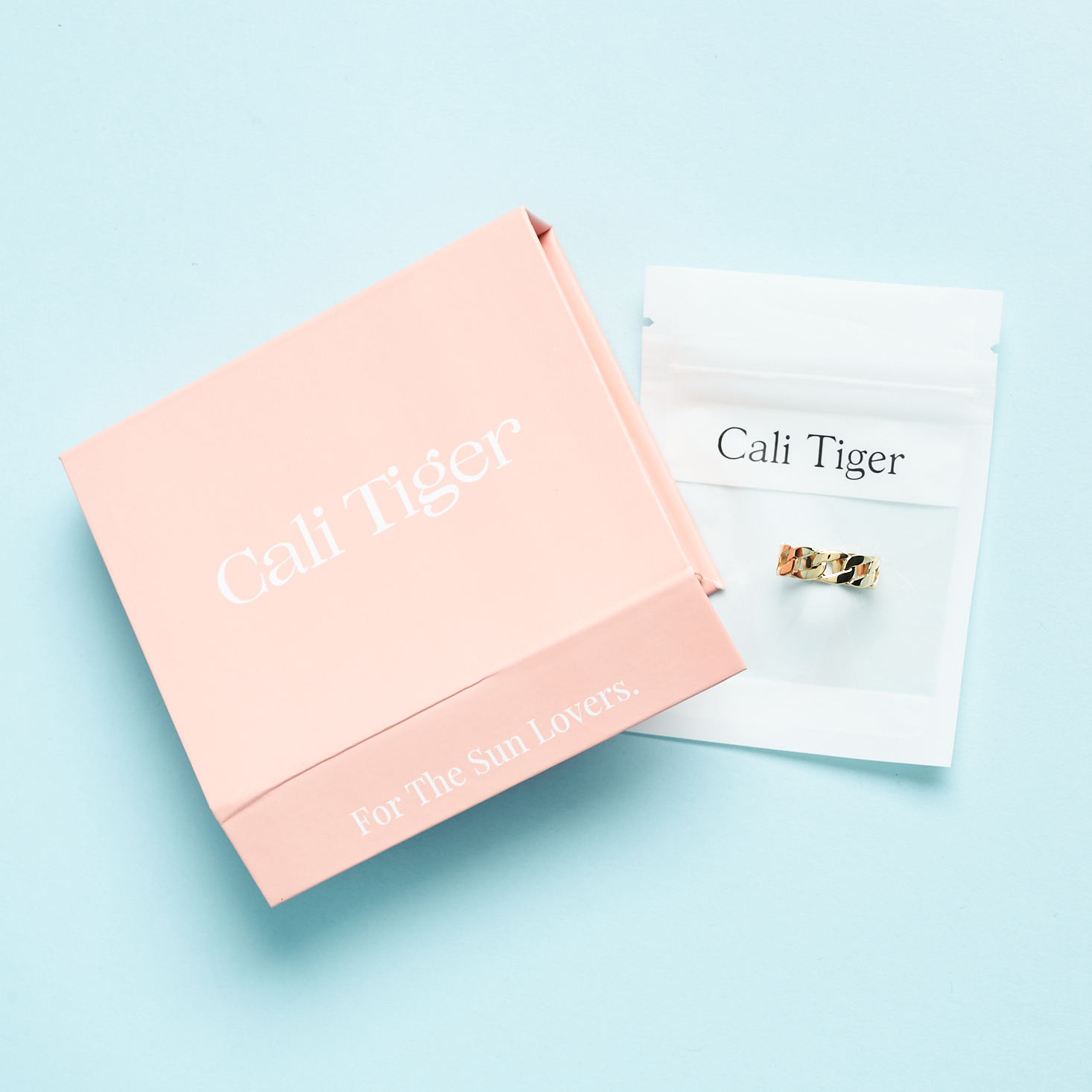 Cali Tiger Jewelry Box Review + Coupon - December 2020 | MSA