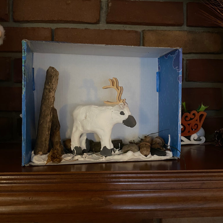 WompleBox "Mongolia" Box Review + Coupon - December 2020 | MSA