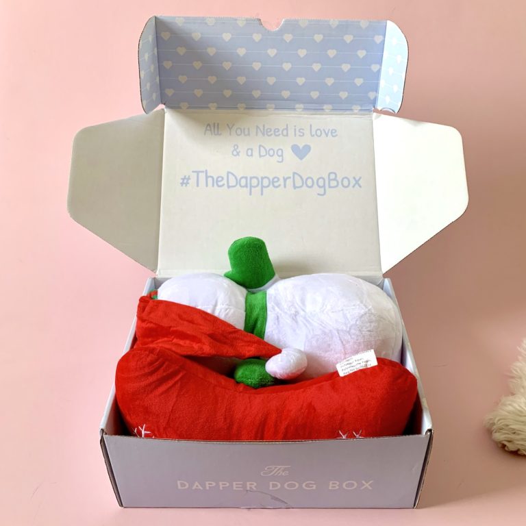 The Dapper Dog Box Review + Coupon - December 2020 | MSA