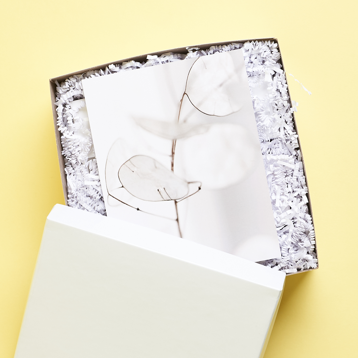 Laurel & Reed Natural Beauty Review - November 2020 | MSA