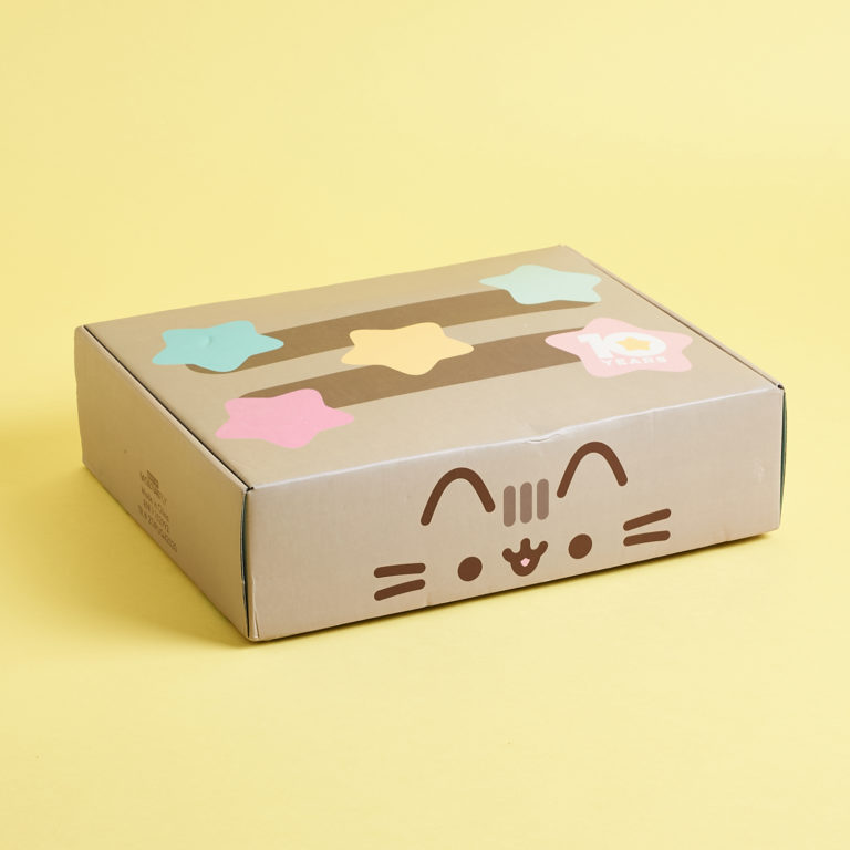 Pusheen Box Review - Winter 2020 | MSA