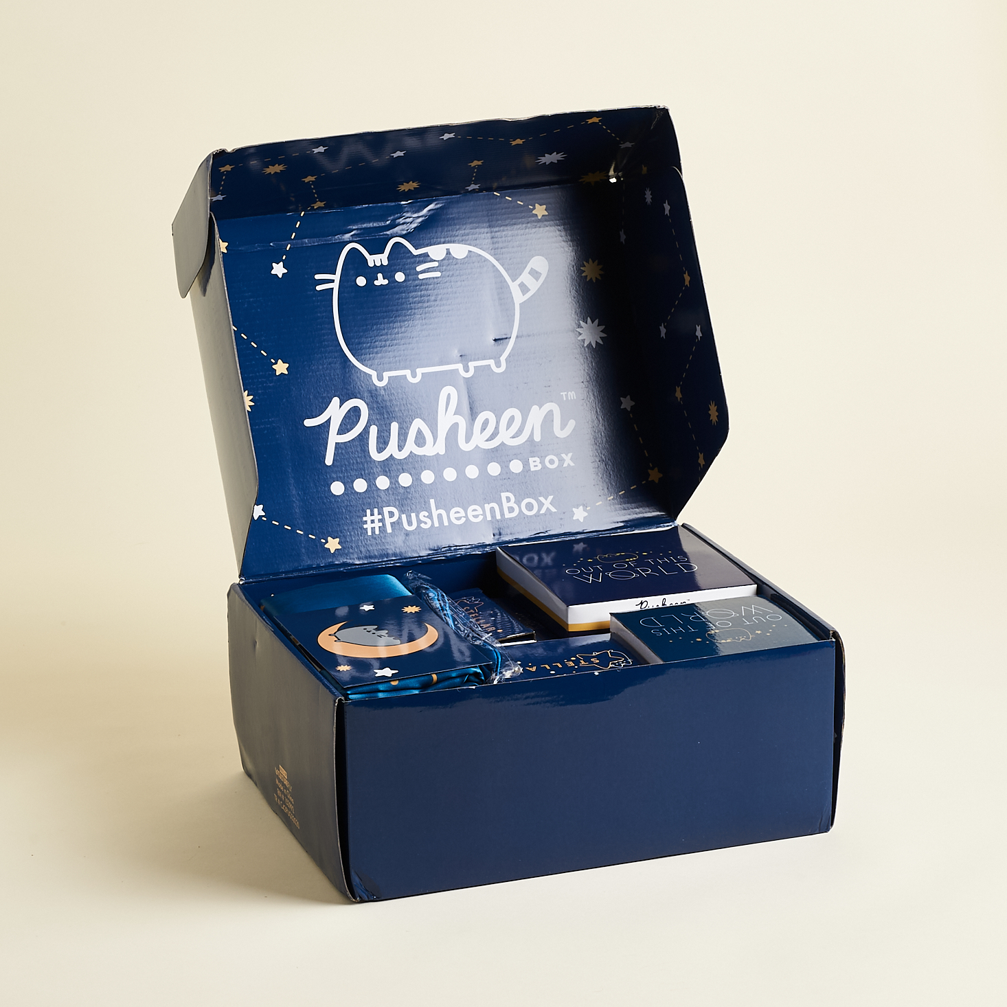 Pusheen Box Review - Fall 2020 | MSA